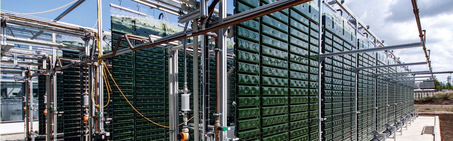 Machine Learning For Algae Cultivation Fraunhofer Igb